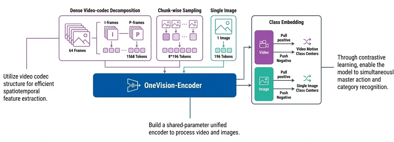 OneVision Encoder: An HEVC-Style Vision Transformer